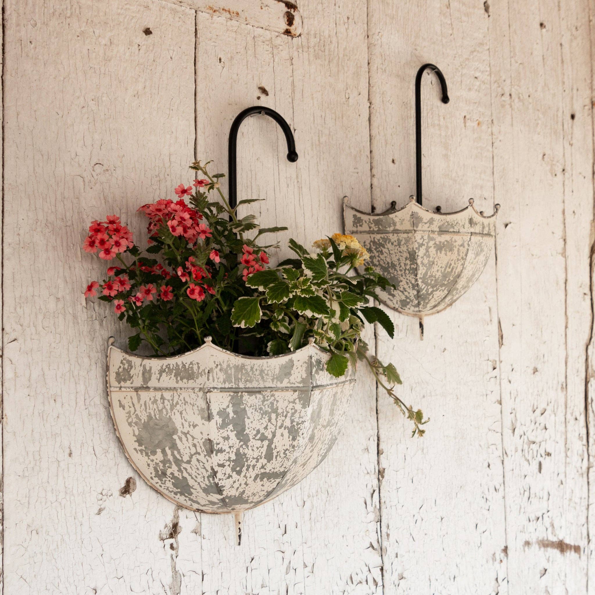 Galvanized Umbrella Wall Planter (Set Of 02) | Frericks Gardens, INC