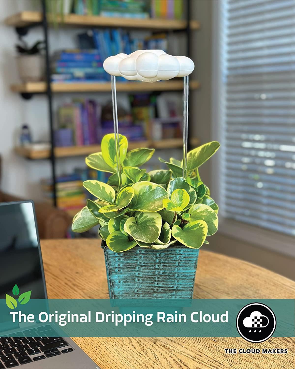 The Original Dripping Rain Cloud for Plants, Plant Watering Rain Cloud ...